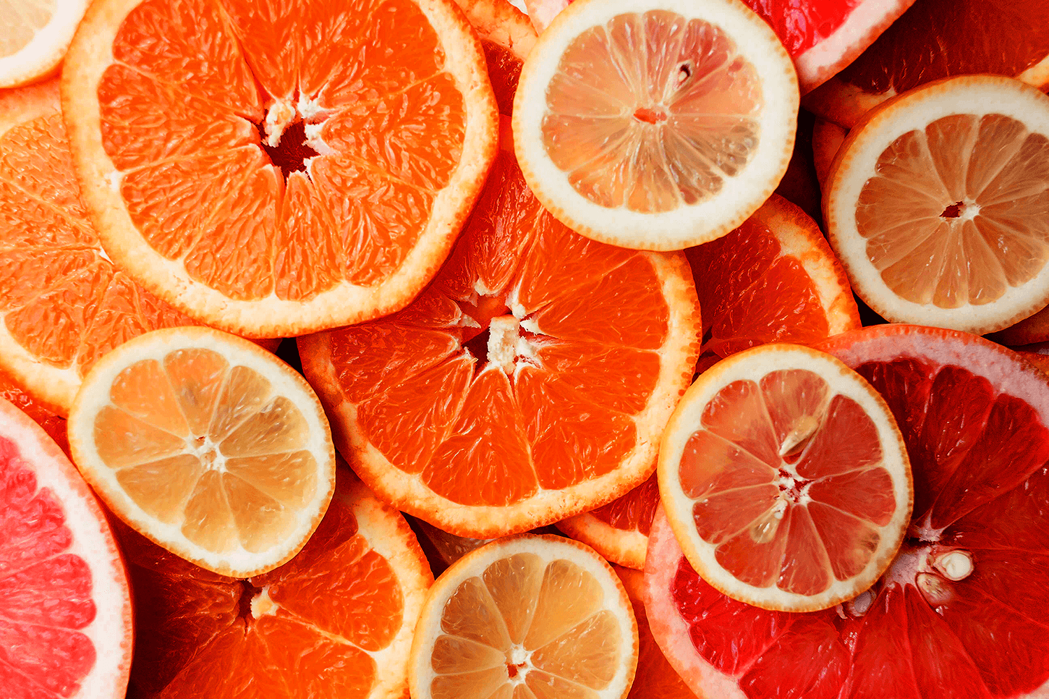 Hand-Crafted Cocktail Bitters | The Bitter Club