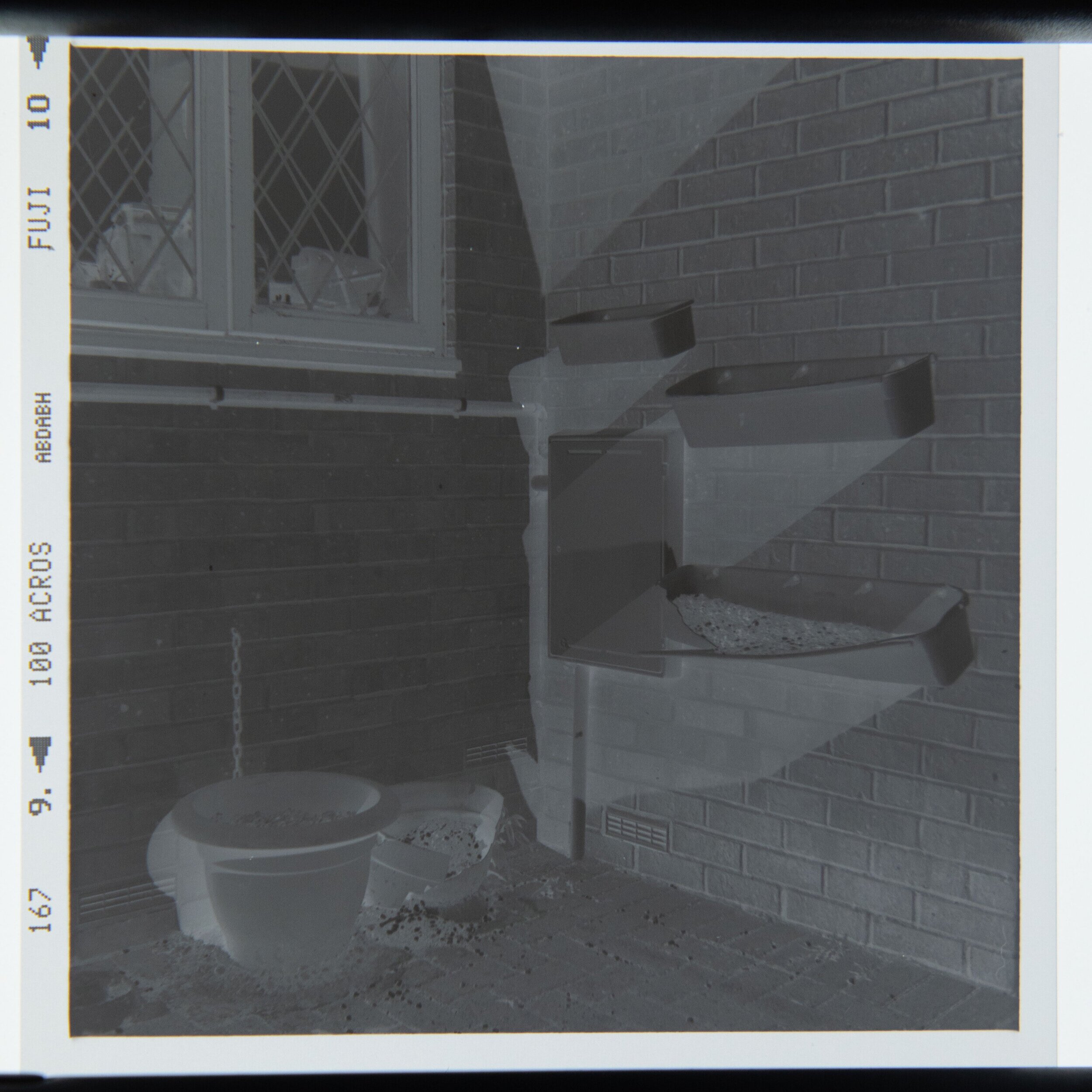 What does a Good Film Negative Look Like? — Belinda Jiao Photography