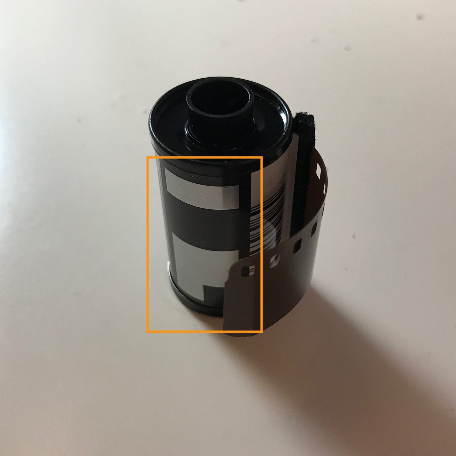 All about DX Coding, Films and Cameras — Belinda Jiao Photography