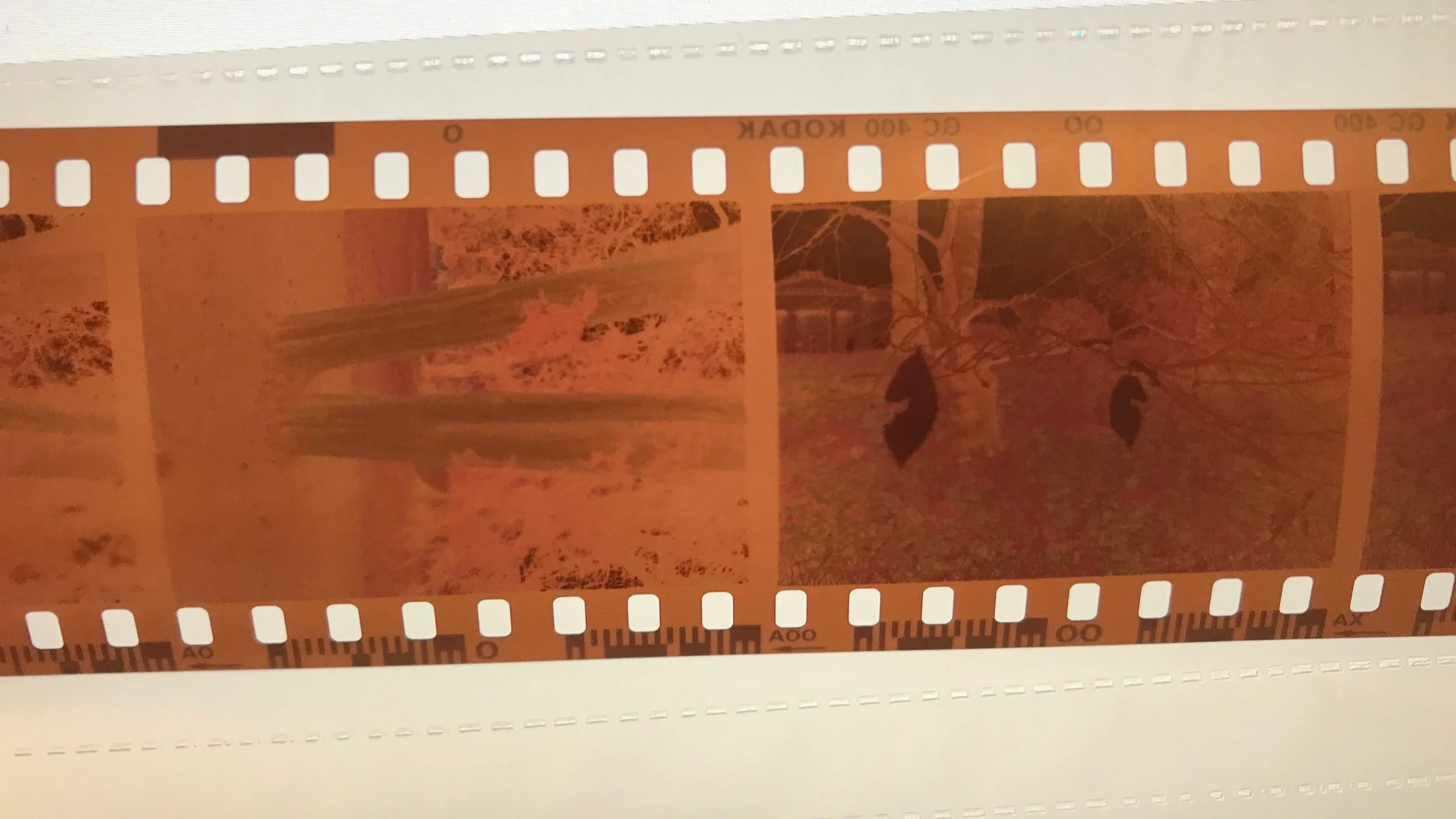 All about DX Coding, Films and Cameras — Belinda Jiao Photography