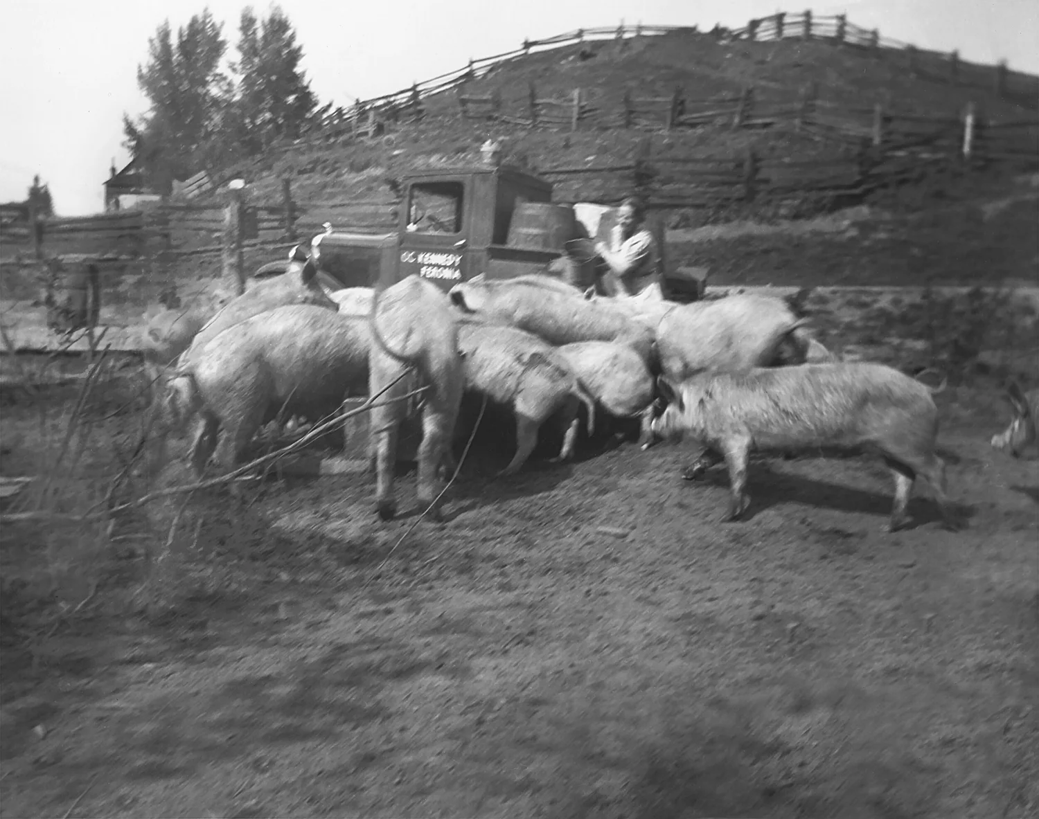Kennedy Farm — North Bay Museum