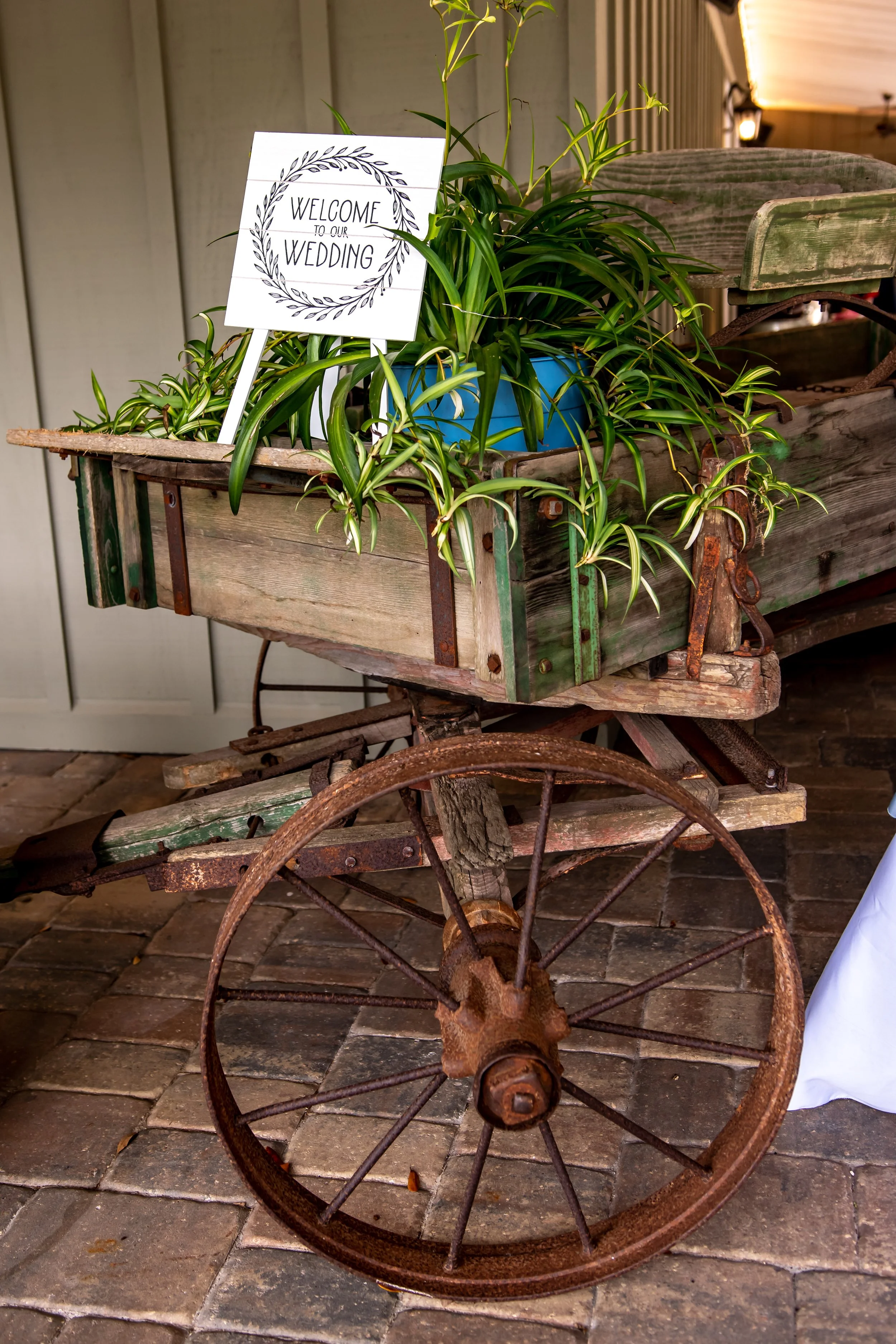 Robbyn and Charles — Bowing Oaks
