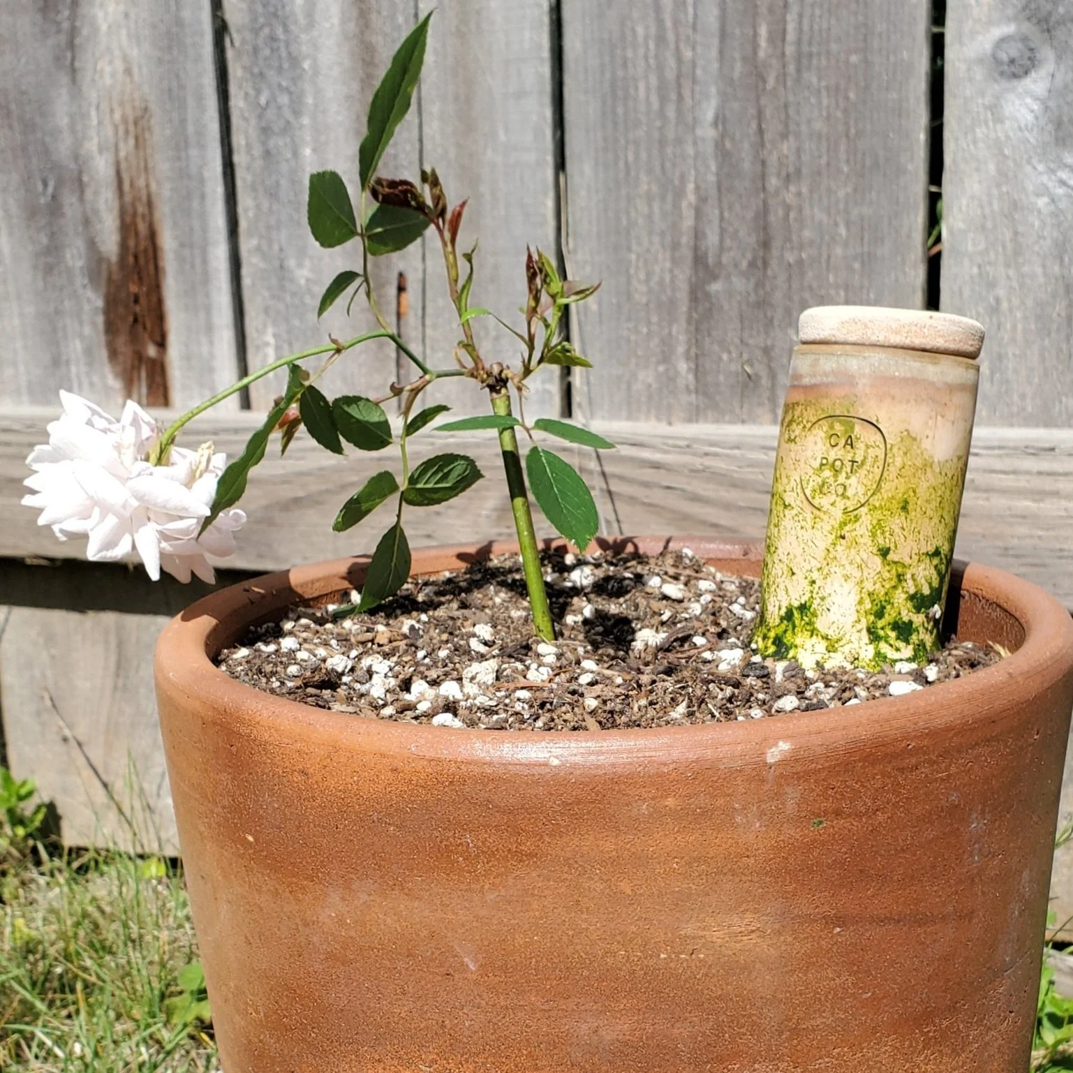 Irrigation pots — The California Pot Company