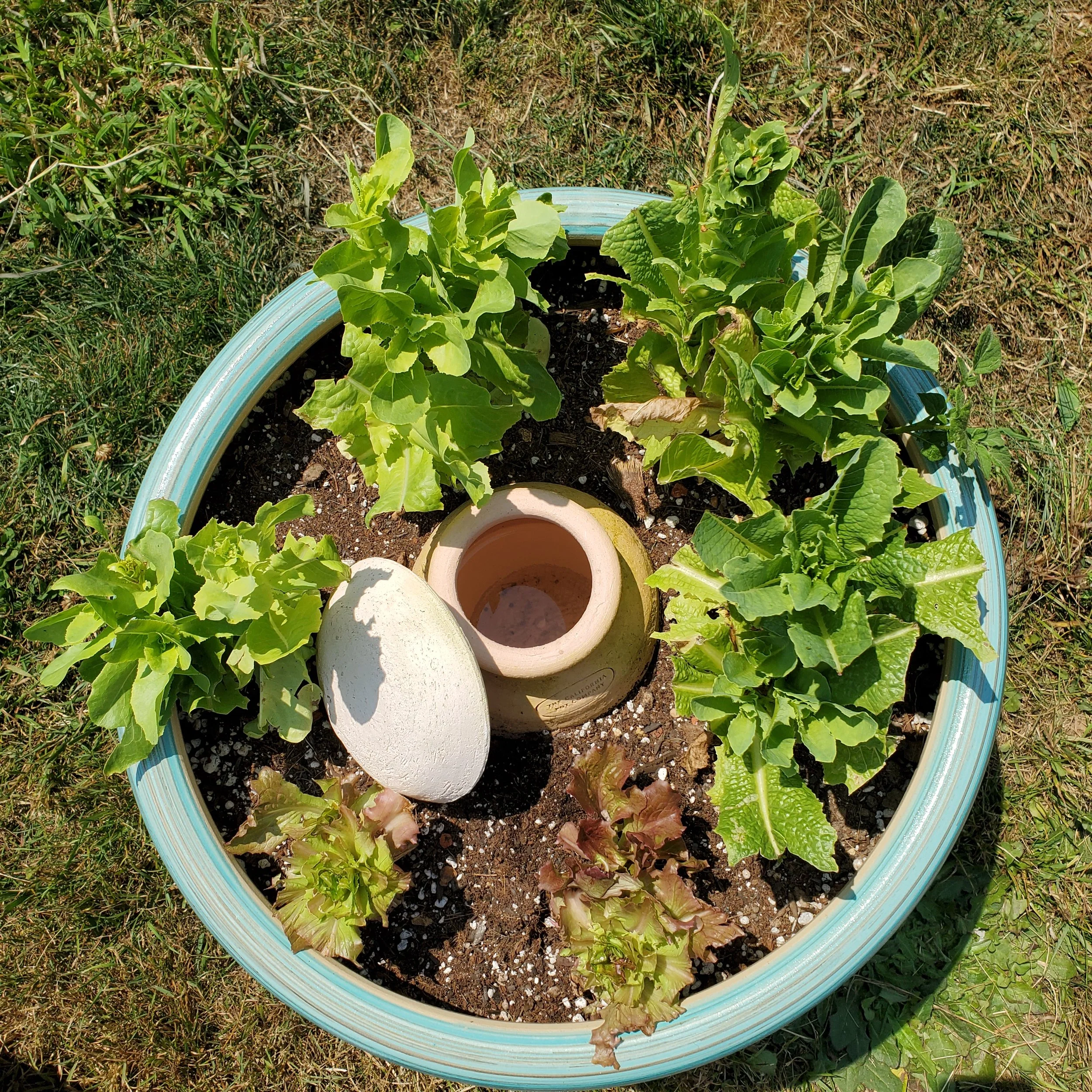 Irrigation pots — The California Pot Company