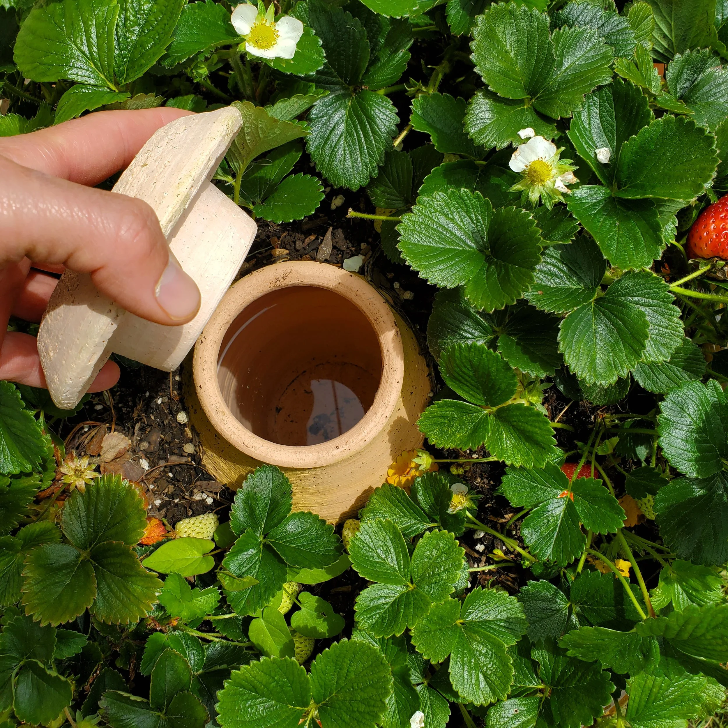 Irrigation pots — The California Pot Company