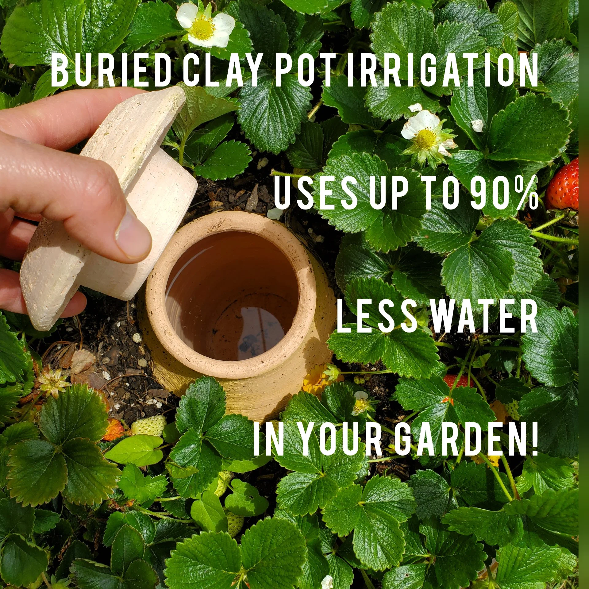 Irrigation pots — The California Pot Company