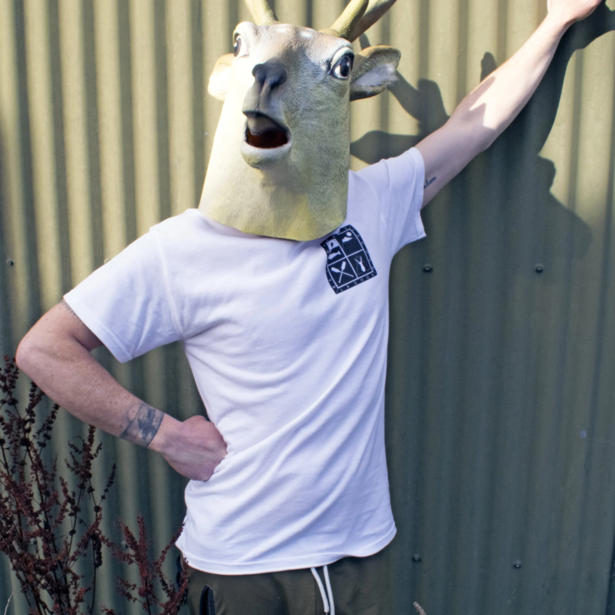 Shop — Beluga Lagoon