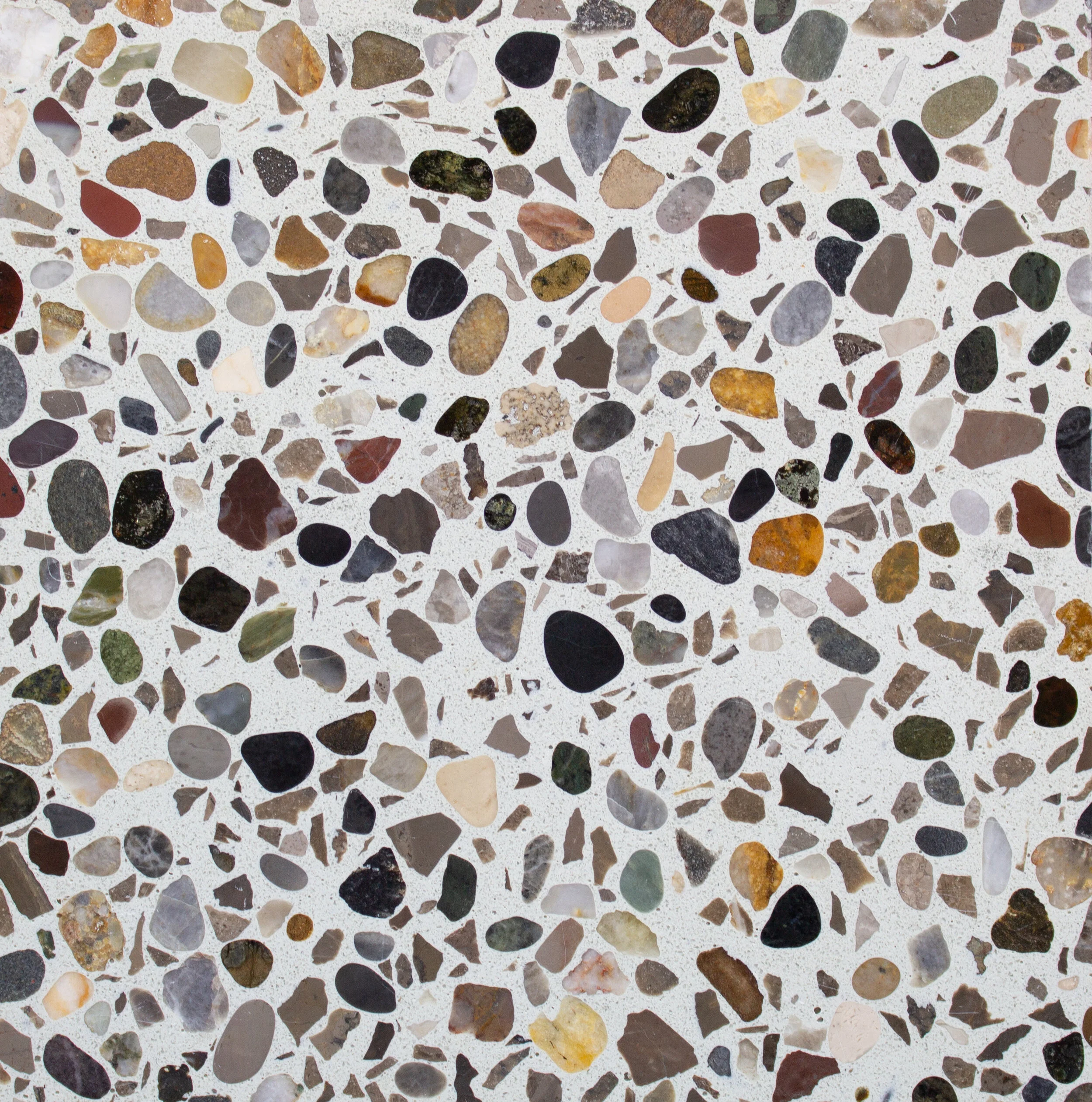 Standard — Dynamic Terrazzo