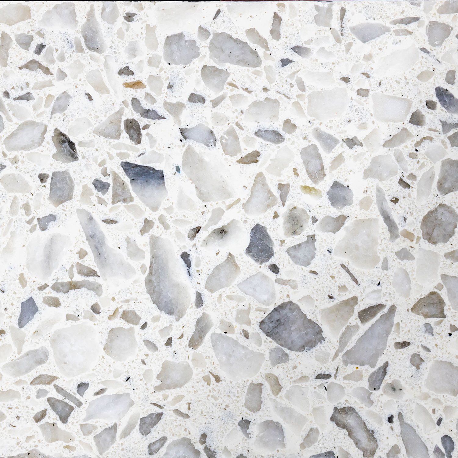 Standard — Dynamic Terrazzo