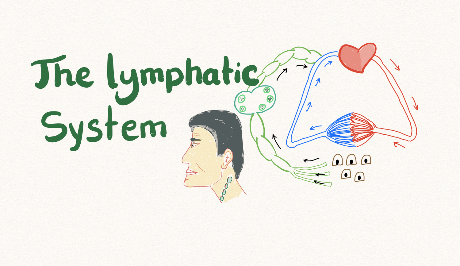 Leukemia Notebook (PUN) — Medicosis Perfectionalis