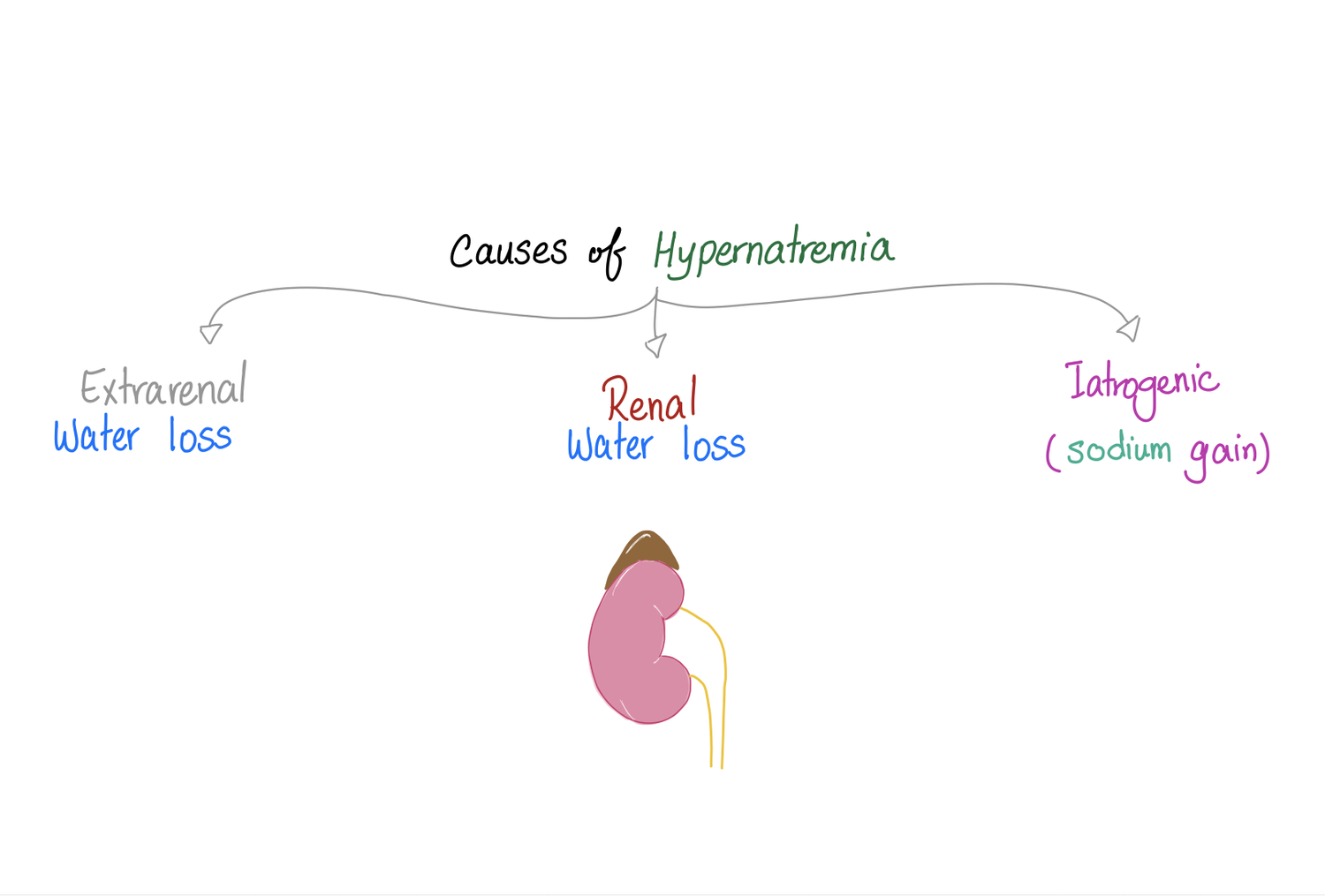 Hypernatremia Ecg