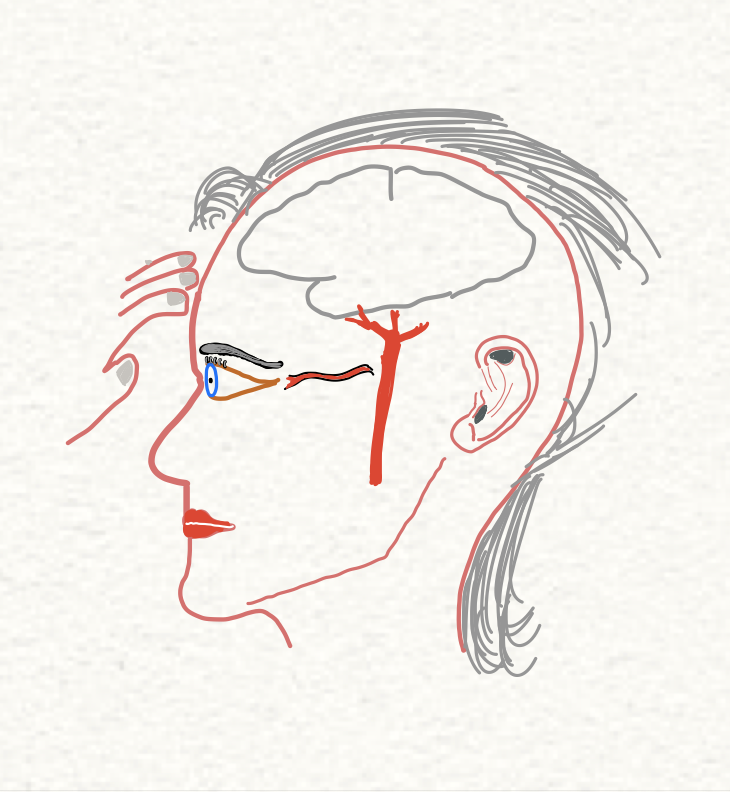 Bleeding & Coagulation Notebook (PUN) — Medicosis Perfectionalis