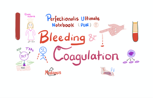 Leukemia Notebook (PUN) — Medicosis Perfectionalis