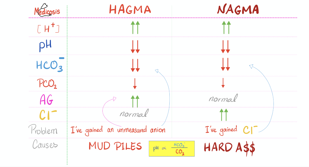 General Pharmacology Course — Medicosis Perfectionalis