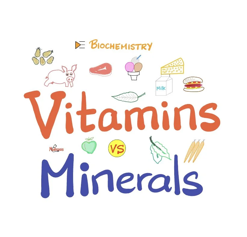 Vitamins And Minerals Clipart
