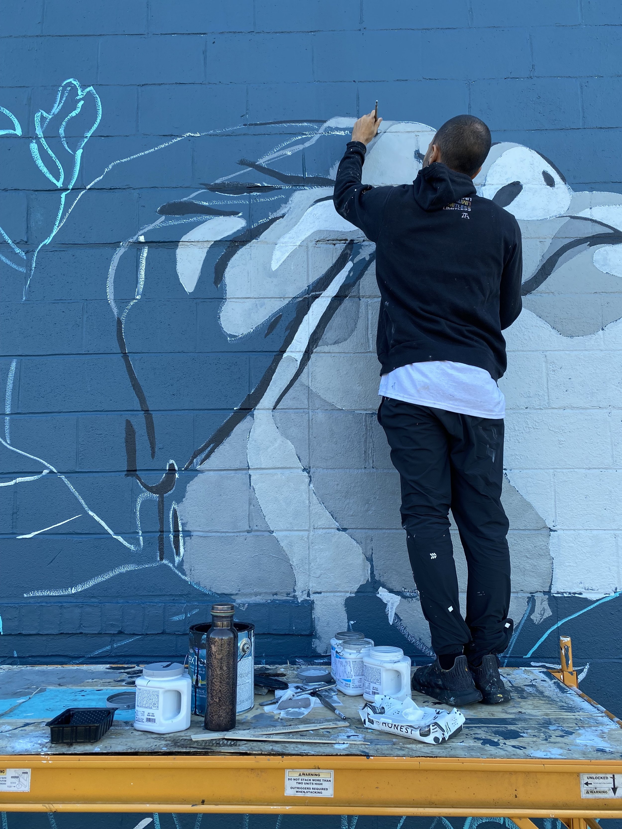 We Are Limitless Studios