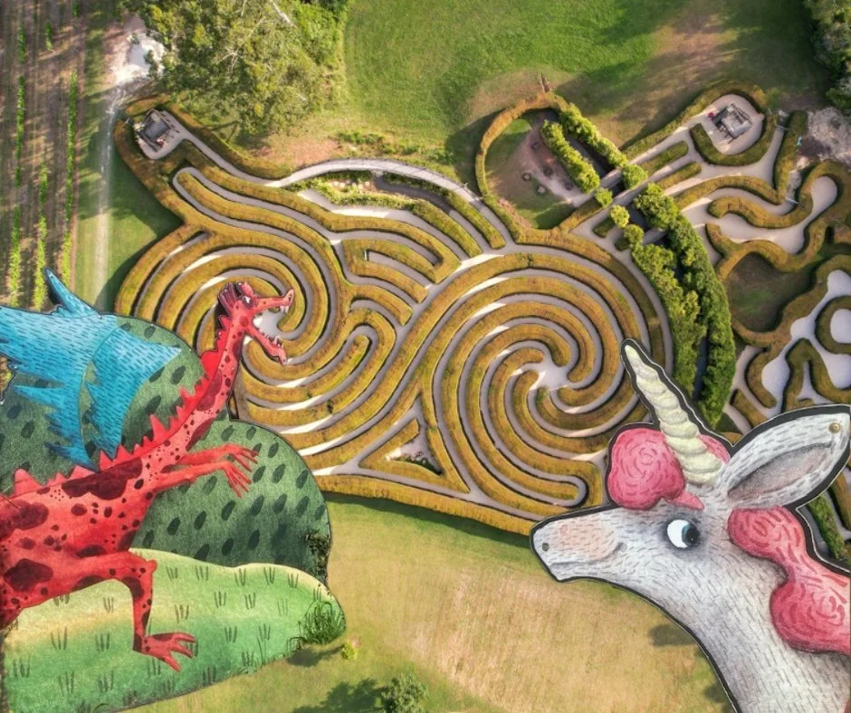 Bago's 2025 Maze the - Unicorns and Dragons — Bago