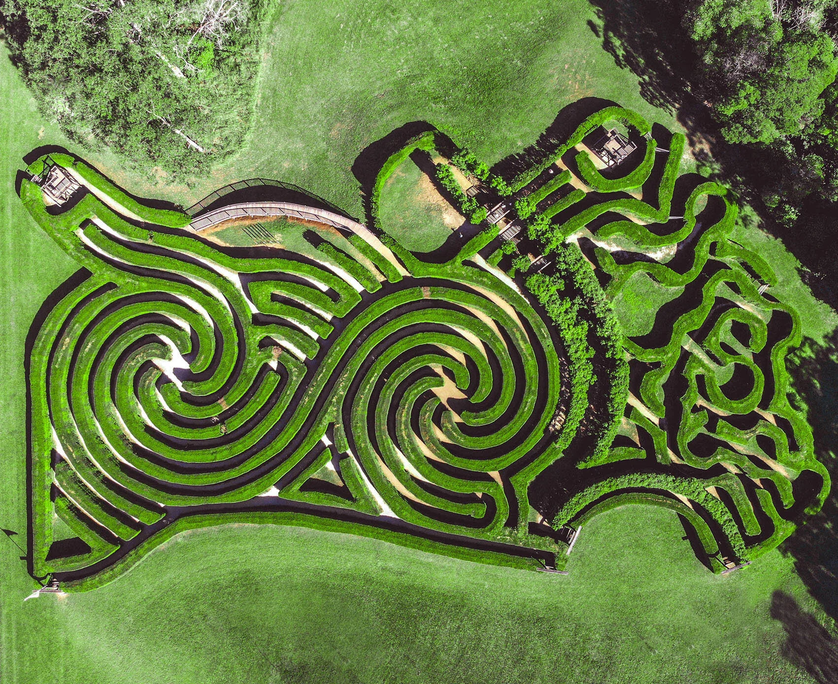 Maze — Bago