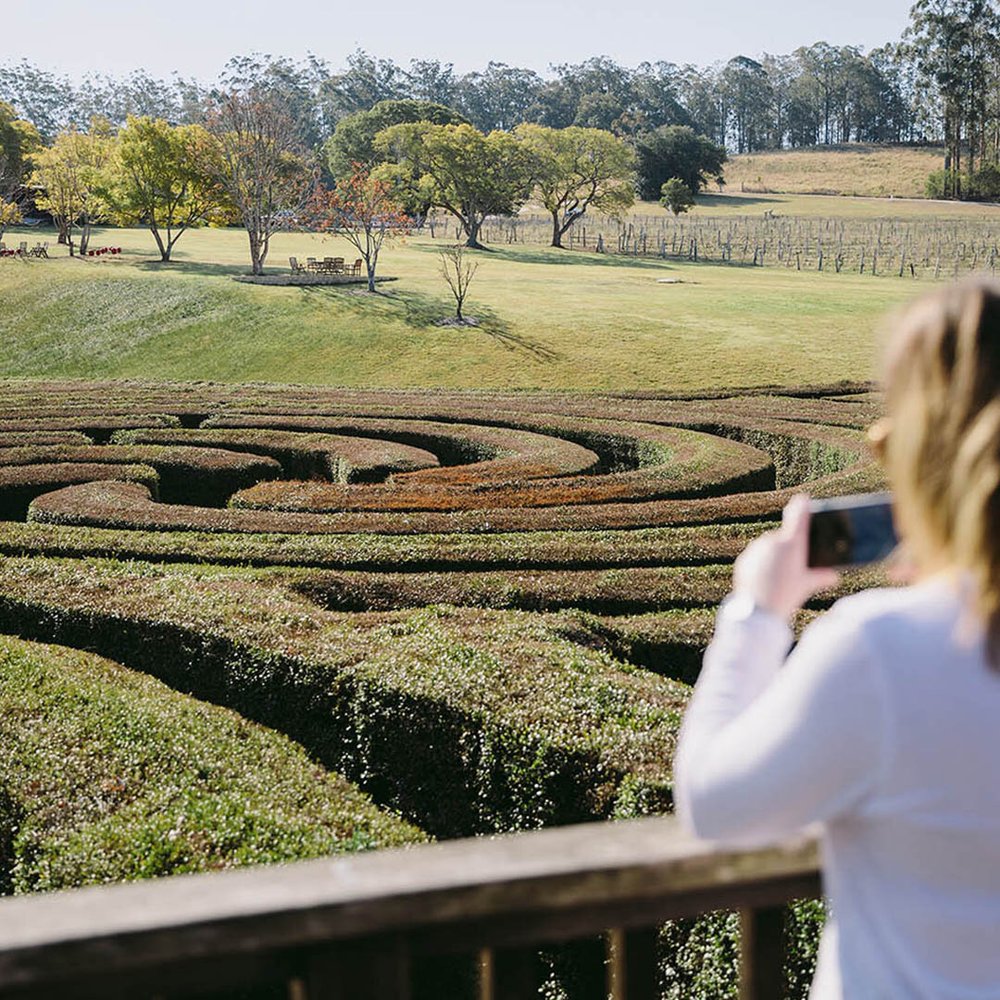 Bago Maze | Award winning attraction near Port Macquarie