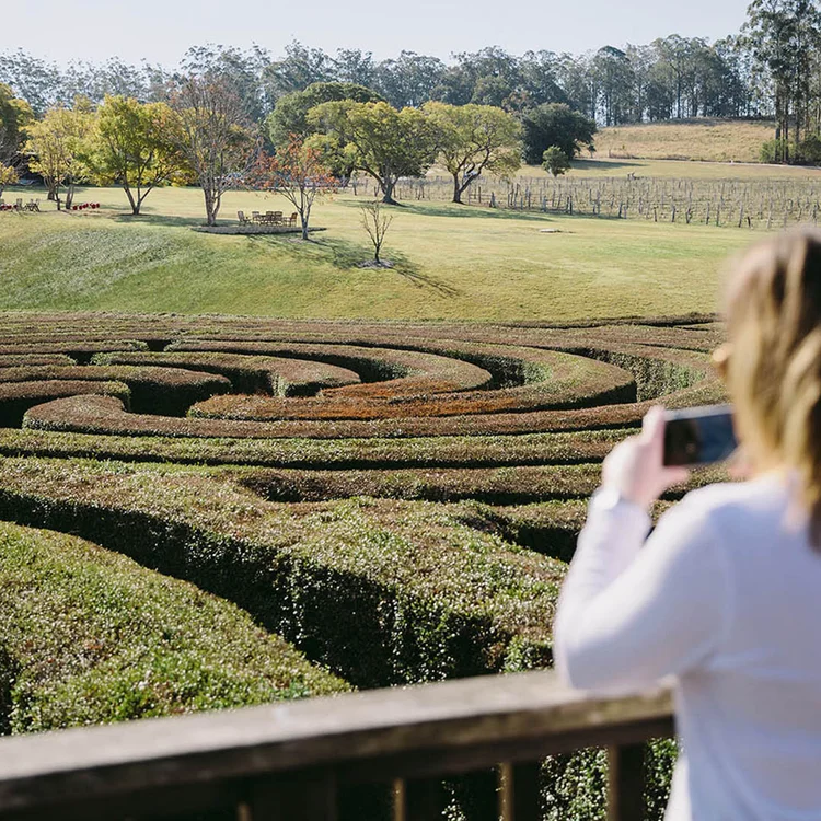 Bago Maze | Award winning attraction near Port Macquarie