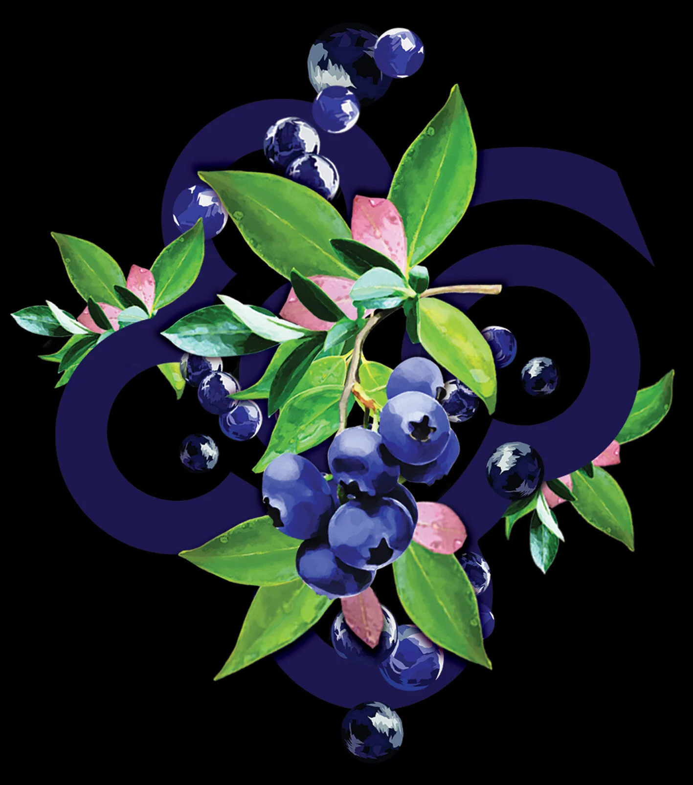 Wine for any occasion. Shop the full Bago range online