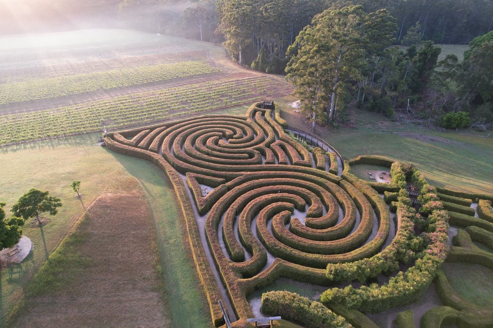 The road to Bago Maze and Wine: Escape the ordinary and embrace the ...