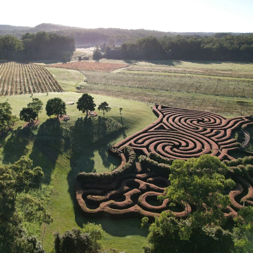 Father's Day Celebration at Bago Maze and Wine: Creating Lasting ...