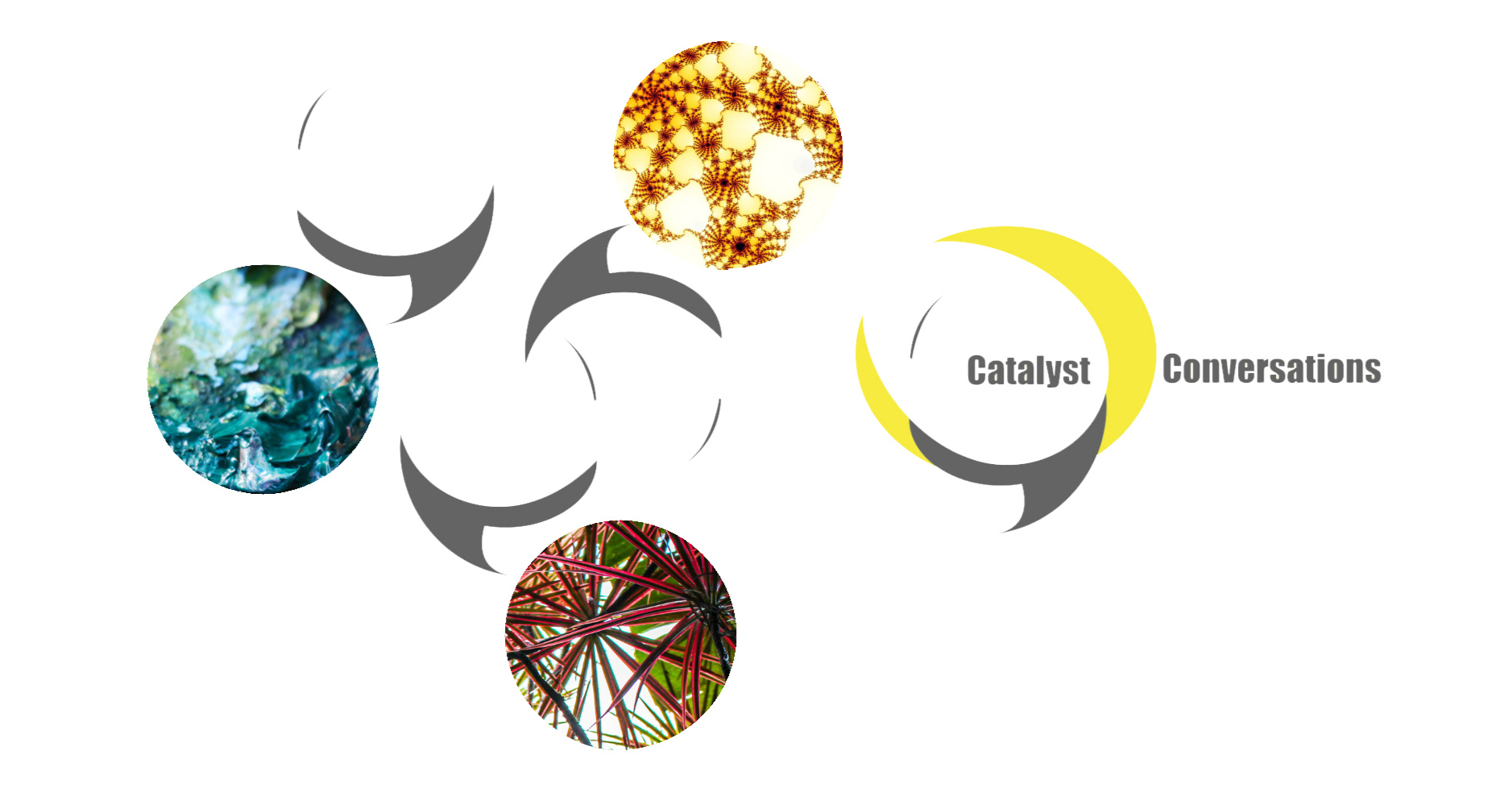 Catalyst