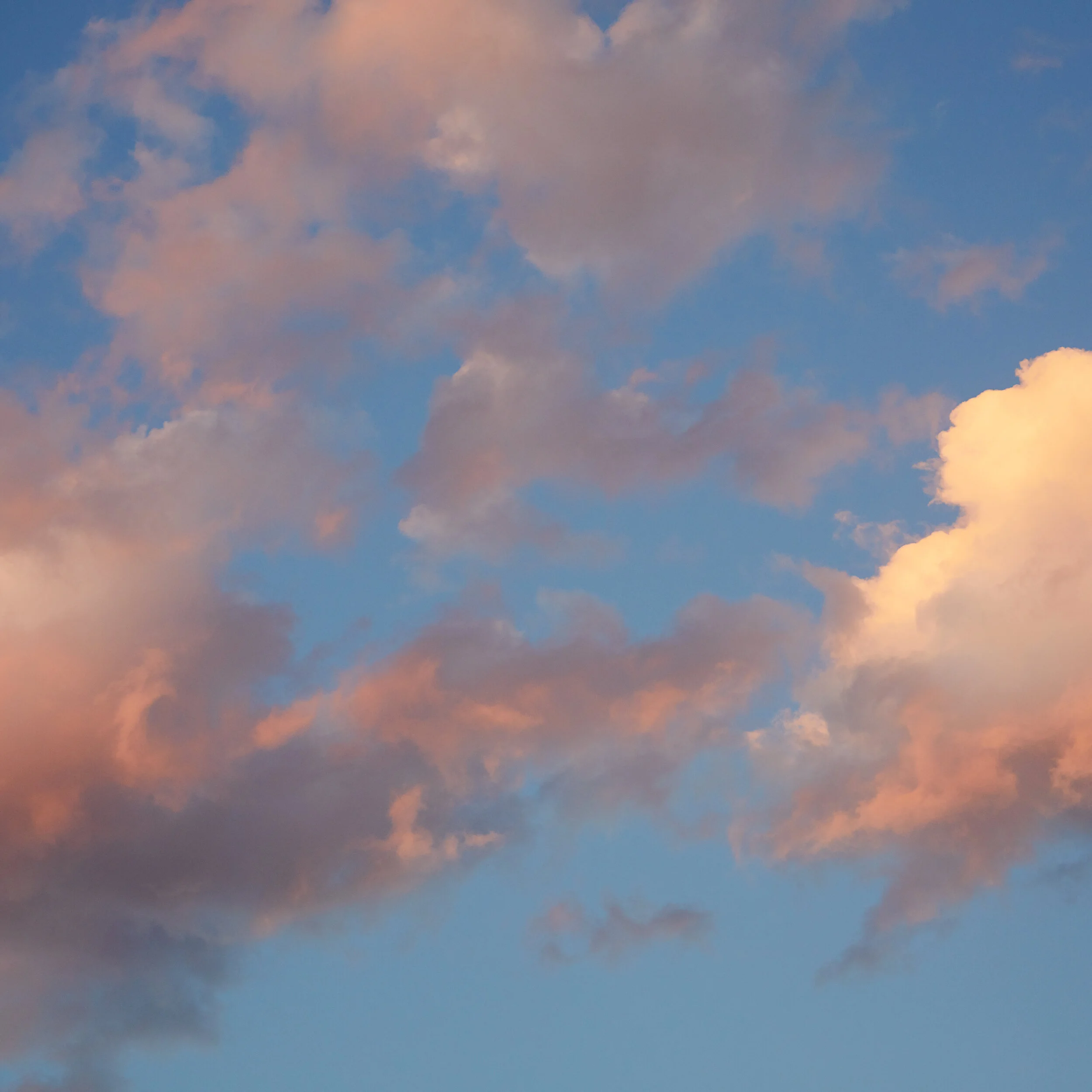 What's On — Songbird Bar Perth