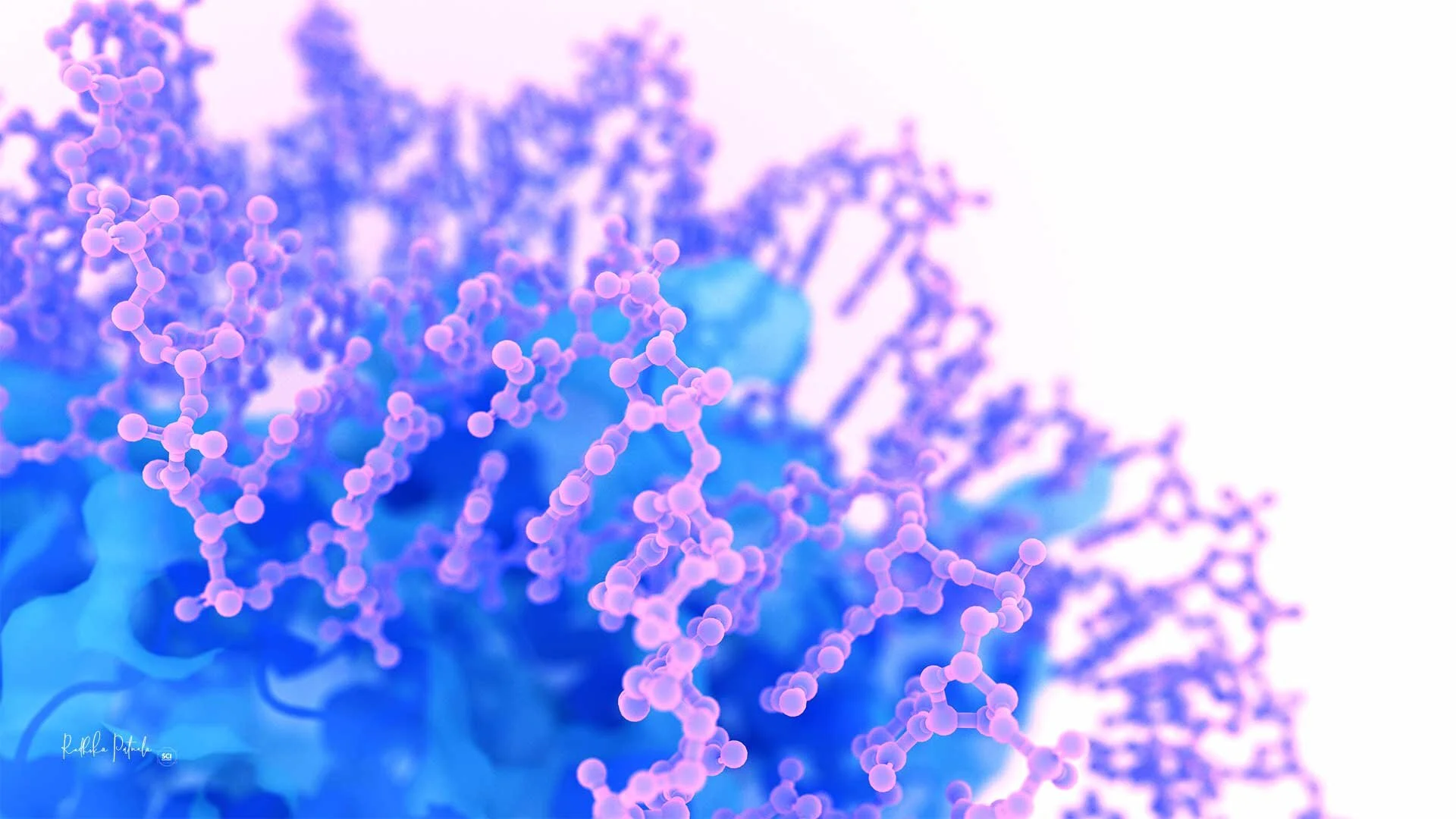 Wrapped around - Nucleosomes — Sci-Illustrate