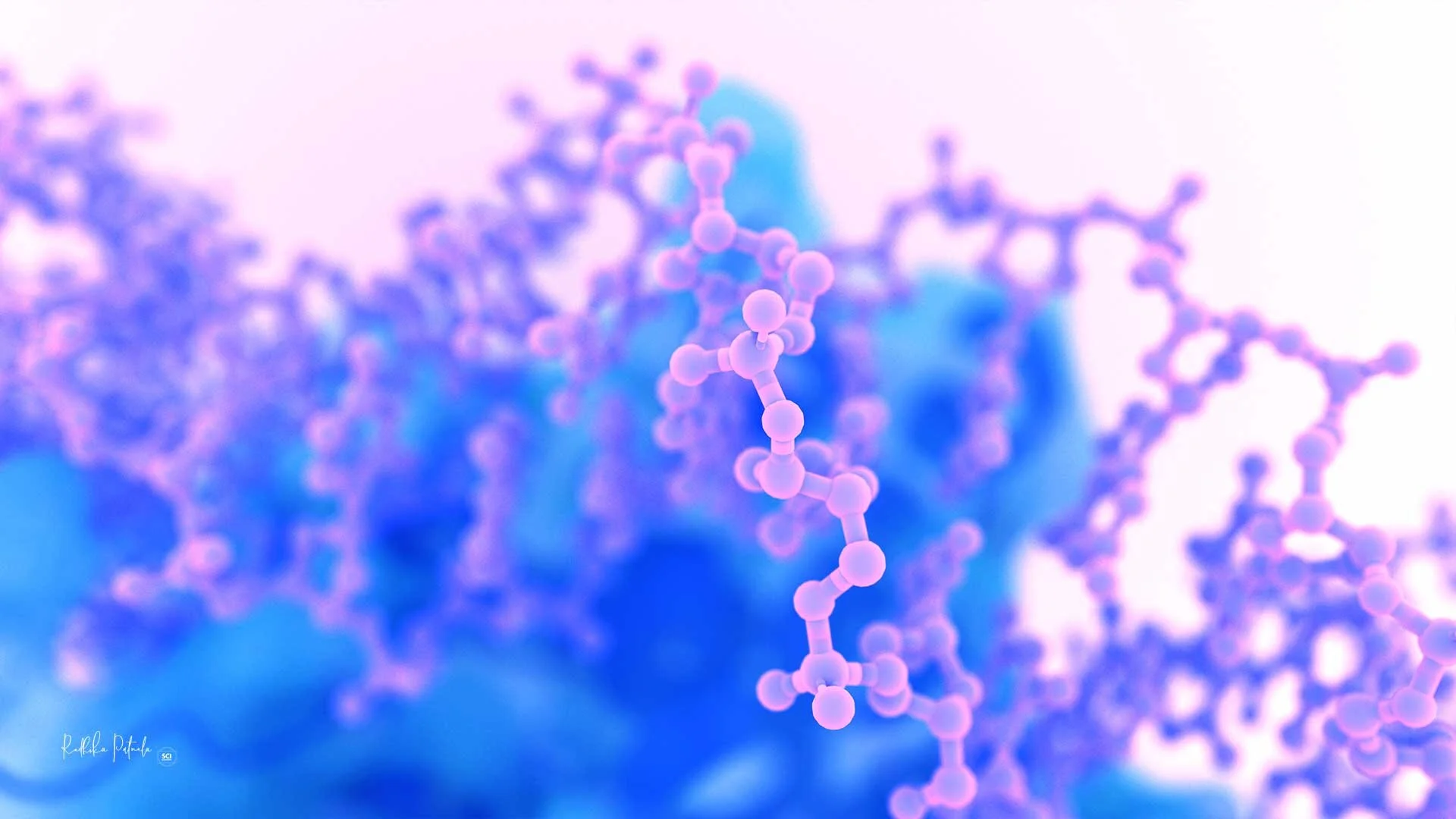 Wrapped around - Nucleosomes — Sci-Illustrate