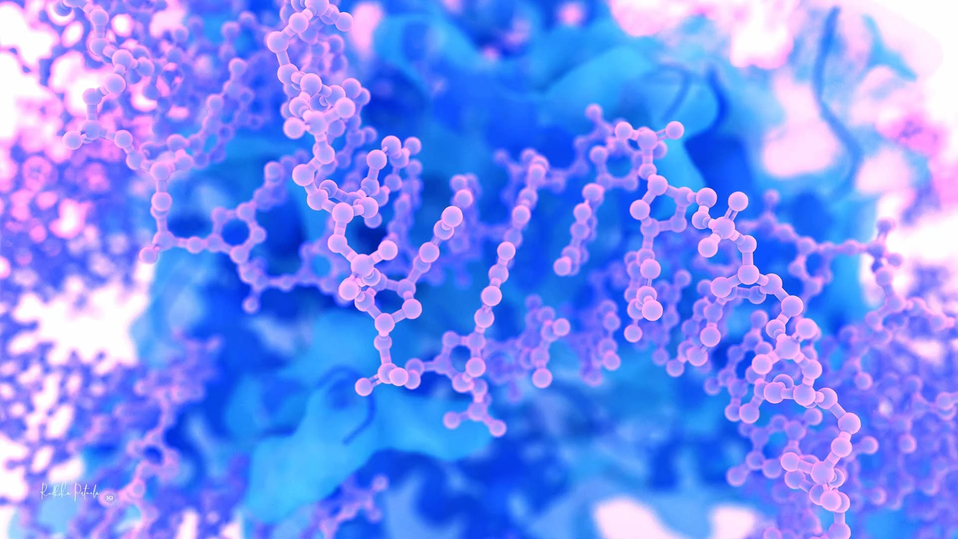 Wrapped around - Nucleosomes — Sci-Illustrate