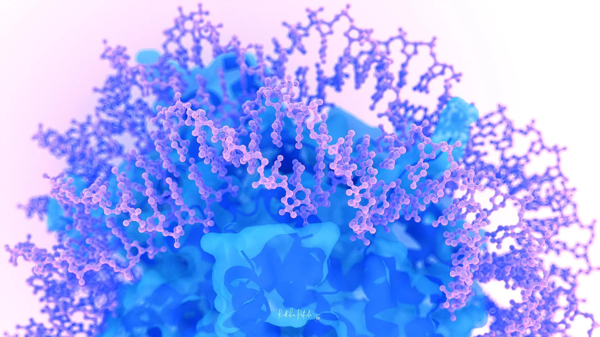 Wrapped around - Nucleosomes — Sci-Illustrate