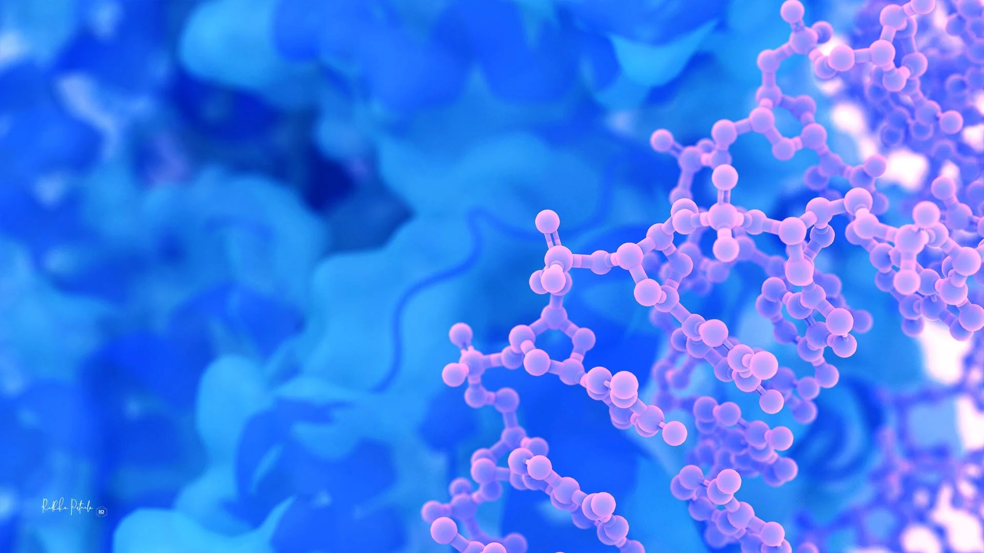 Wrapped around - Nucleosomes — Sci-Illustrate