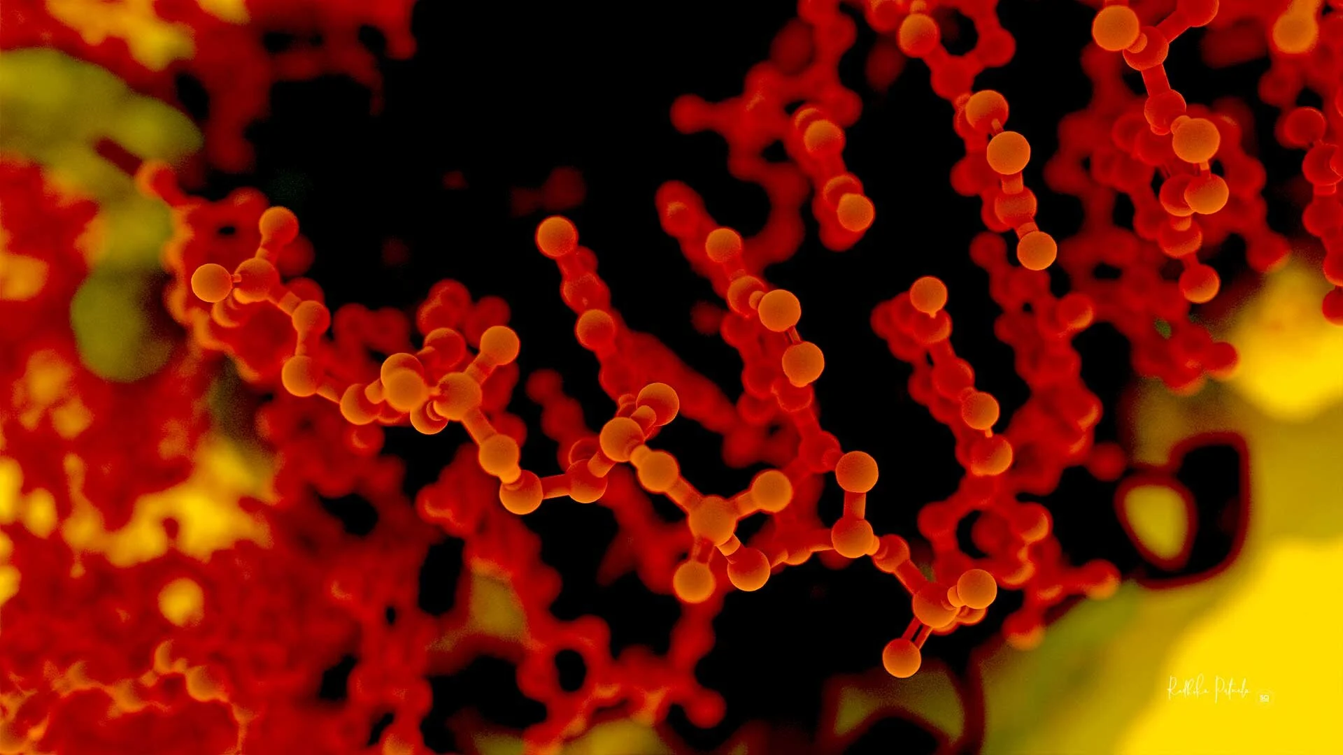 Wrapped around - Nucleosomes — Sci-Illustrate