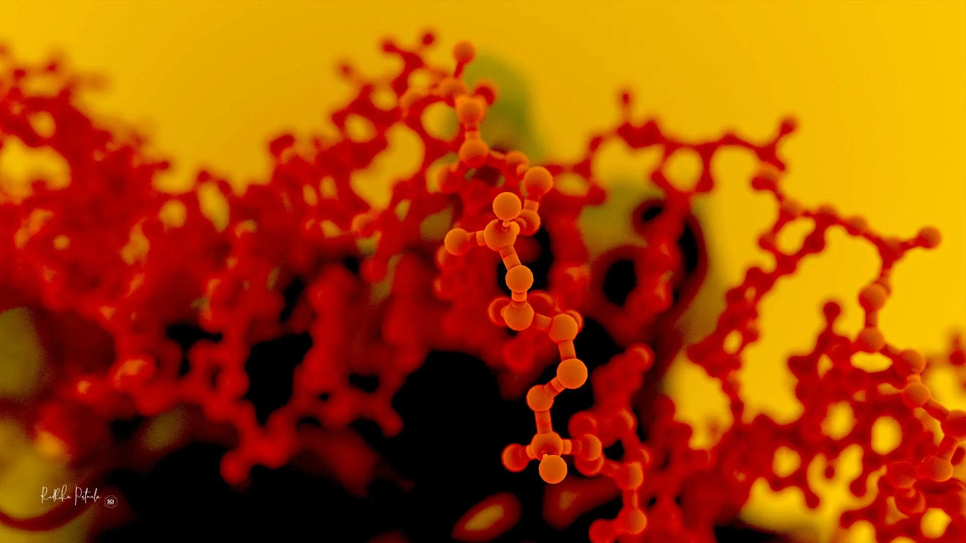 Wrapped around - Nucleosomes — Sci-Illustrate