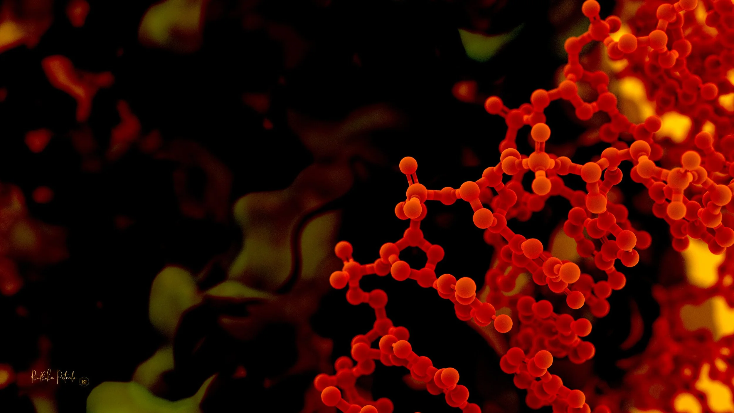 Wrapped around - Nucleosomes — Sci-Illustrate