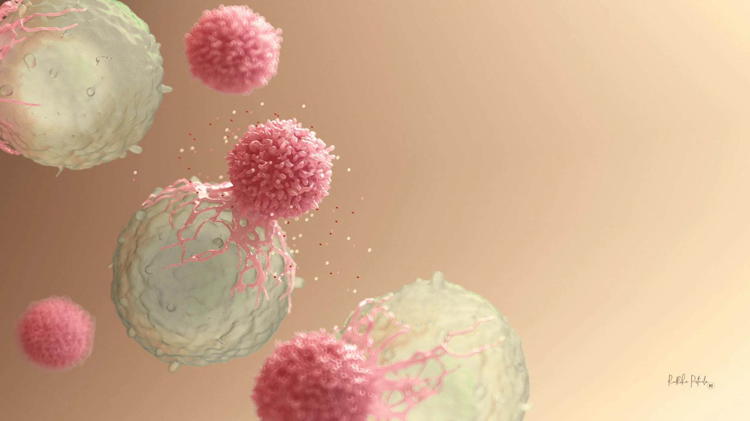 Dreamy T-cells — Sci-Illustrate