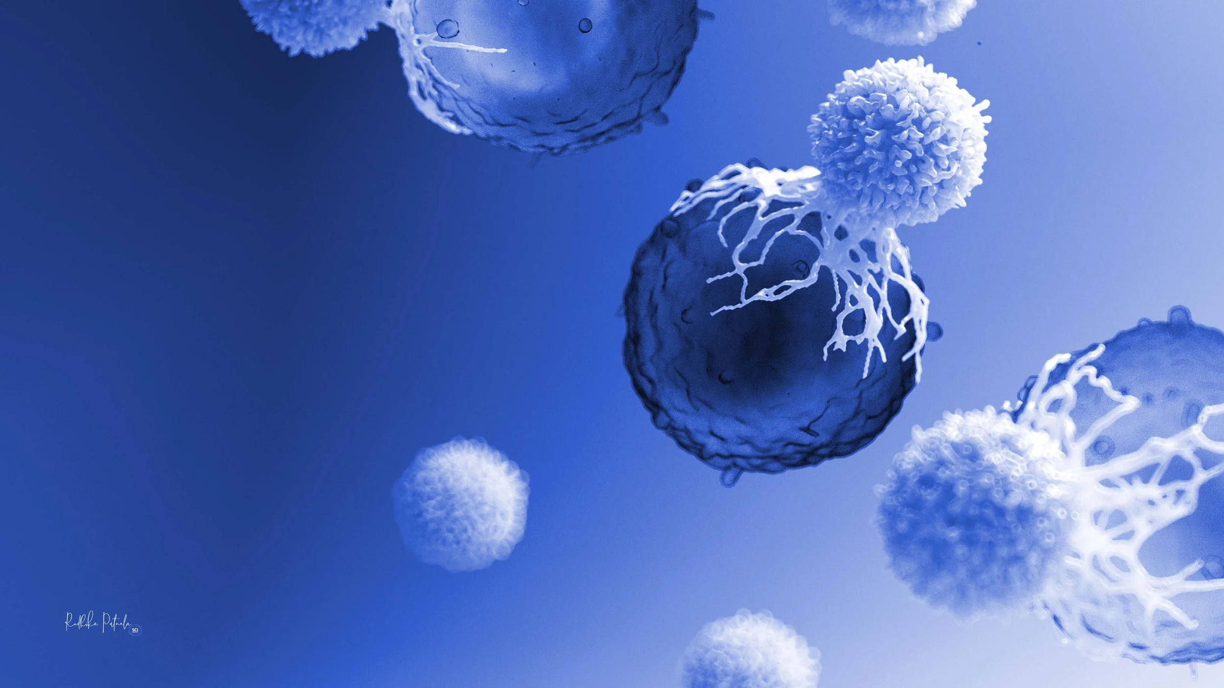 Dreamy T-cells — Sci-Illustrate