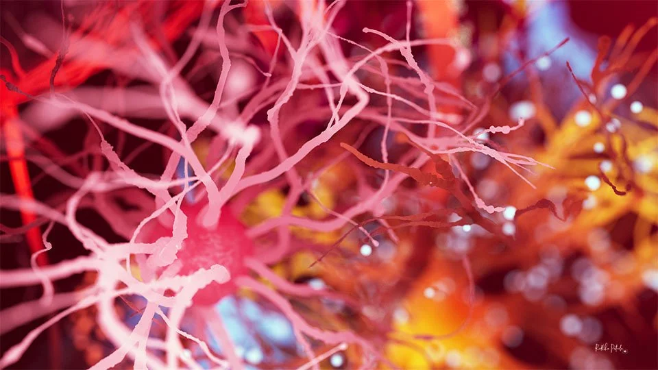 Feelings - beautiful neuron wallpapers — Sci-Illustrate