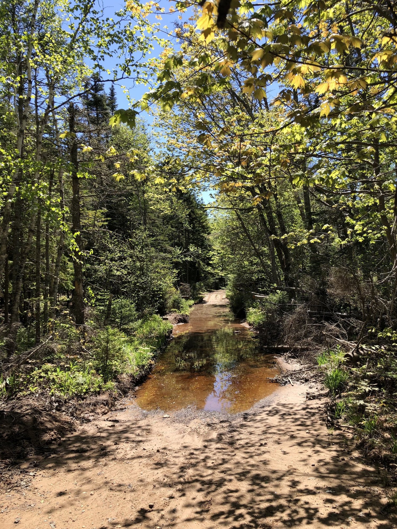 Pink Rock Trail — Greater Dorchester Moving Forward Co-operative