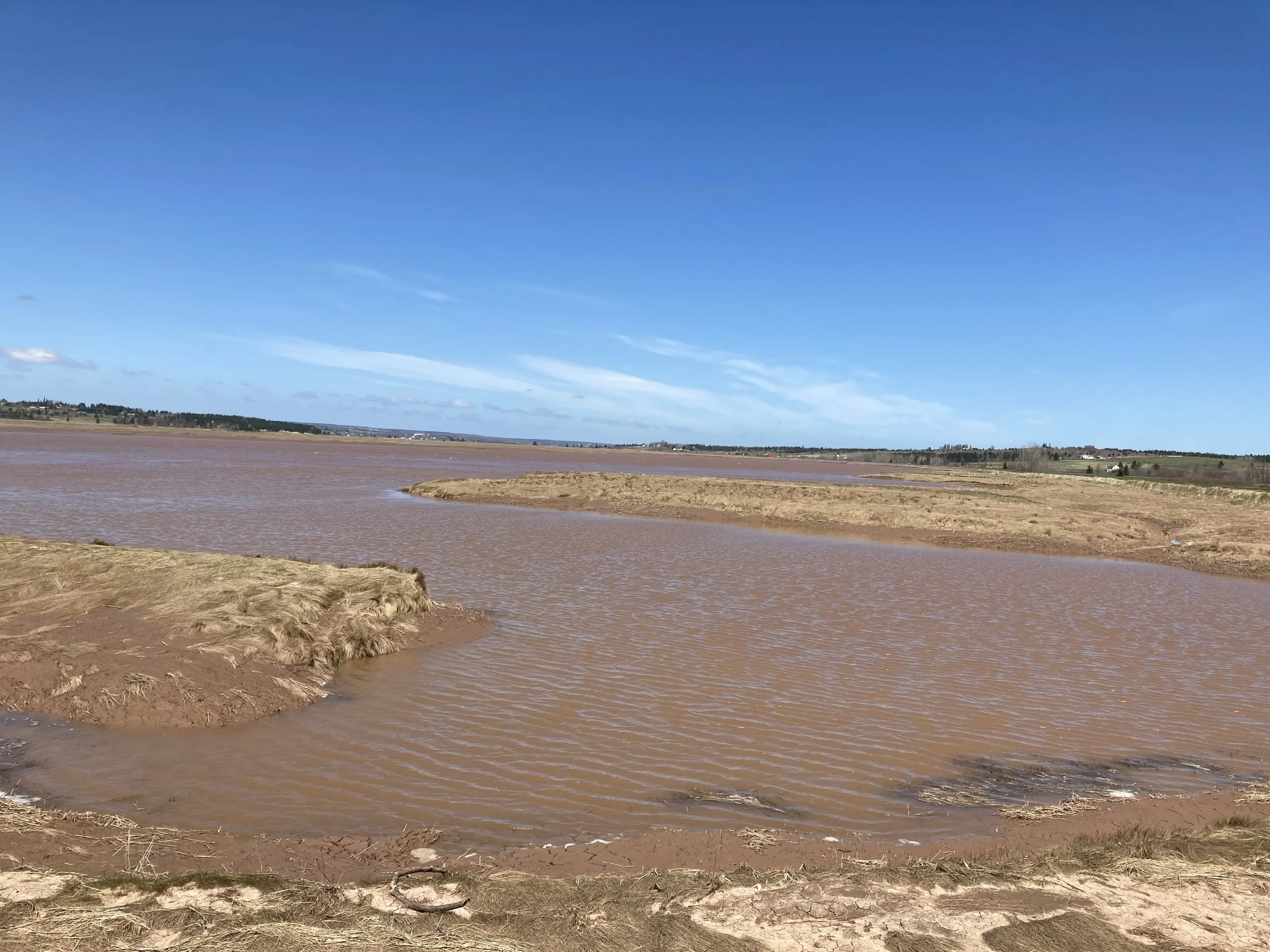 Chocolate River Trail — Greater Dorchester Moving Forward Co-operative