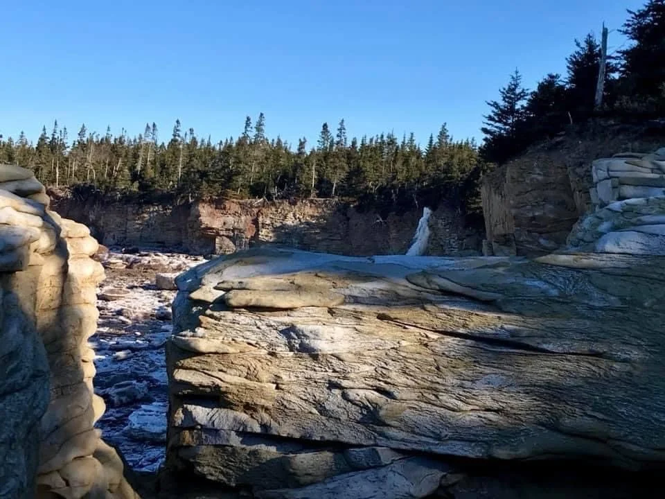 Cape Maringouin Trail — Greater Dorchester Moving Forward Co-operative