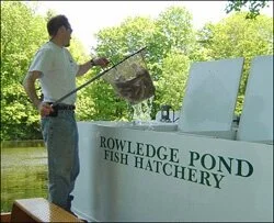 Rowledge Pond Aquaculture — ROWLEDGE POND AQUACULTURE LLC