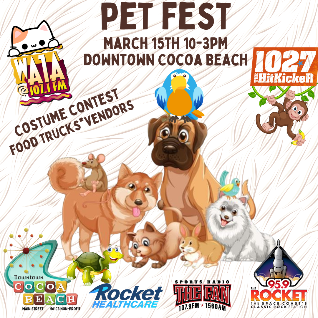 Friday Fest | 3rd Friday — Cocoa Beach Main Street