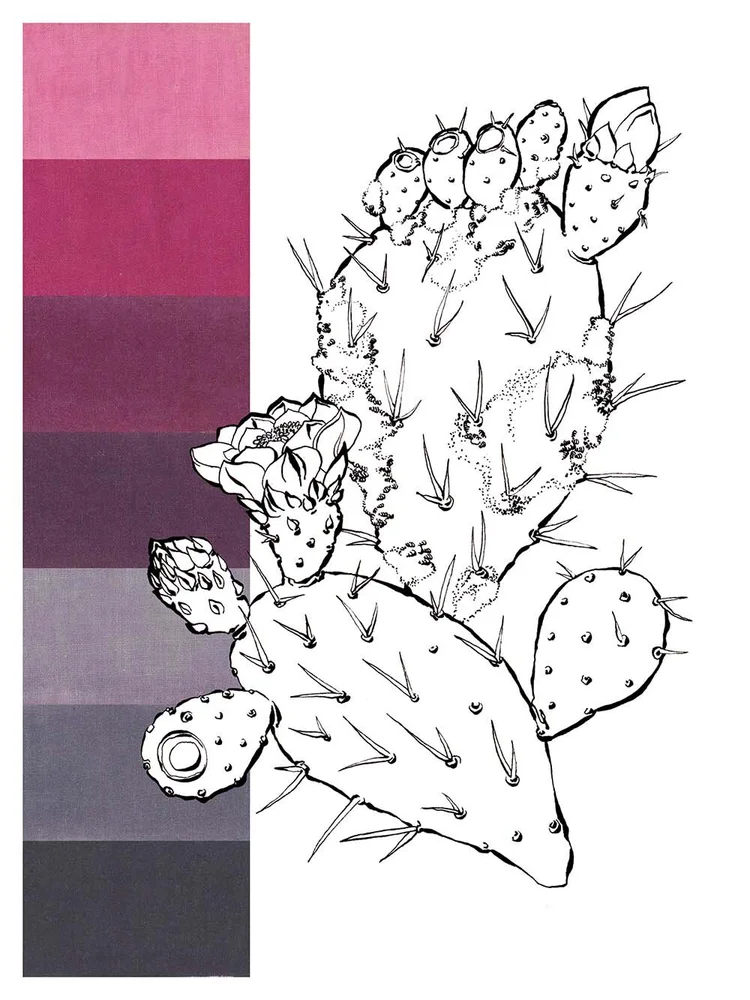 The Six Natural Dyes at the Heart of Our Textiles — Homebody Textiles