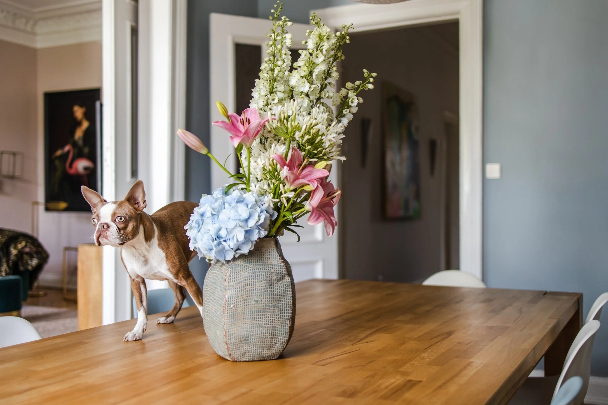 Health Insurance for Foreigners — Ikamet