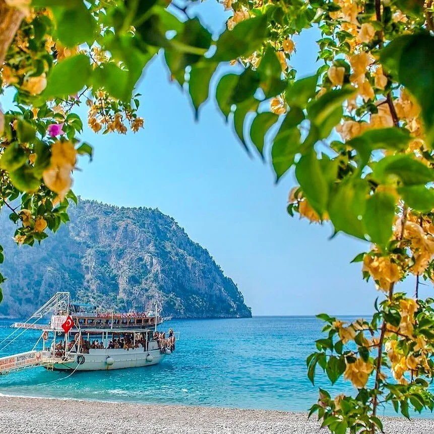 A Modern Immigration Company | Ikamet