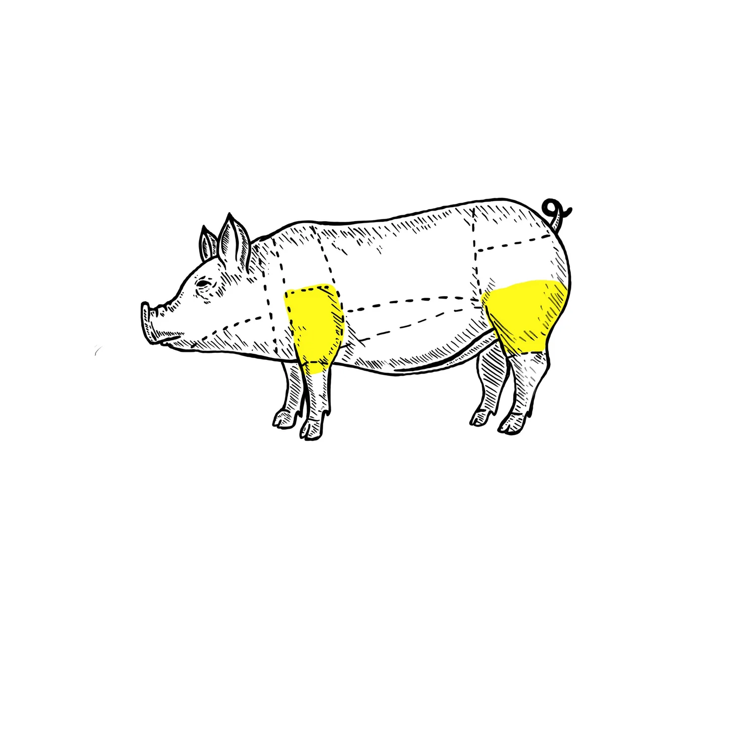 Pork Shank — The Chop Shop Butchery