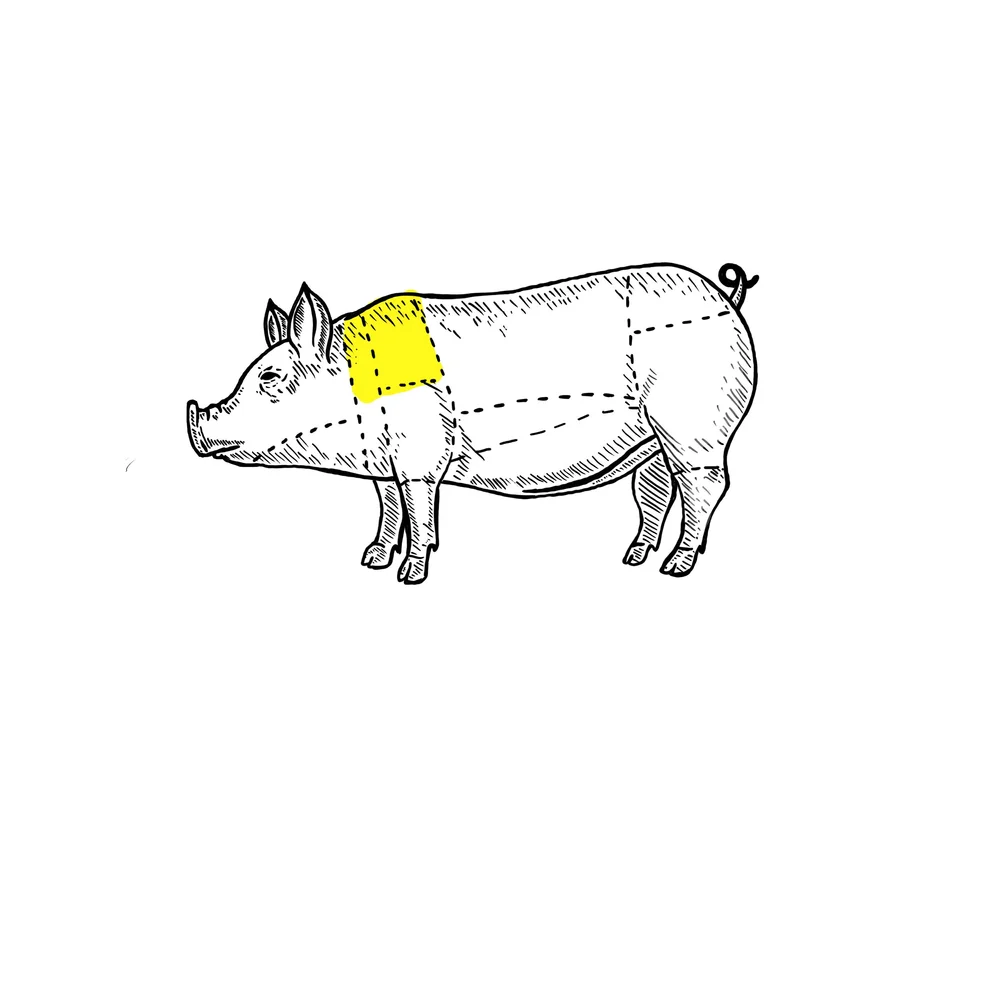 Pork Shoulder/Boston Butt — The Chop Shop Butchery